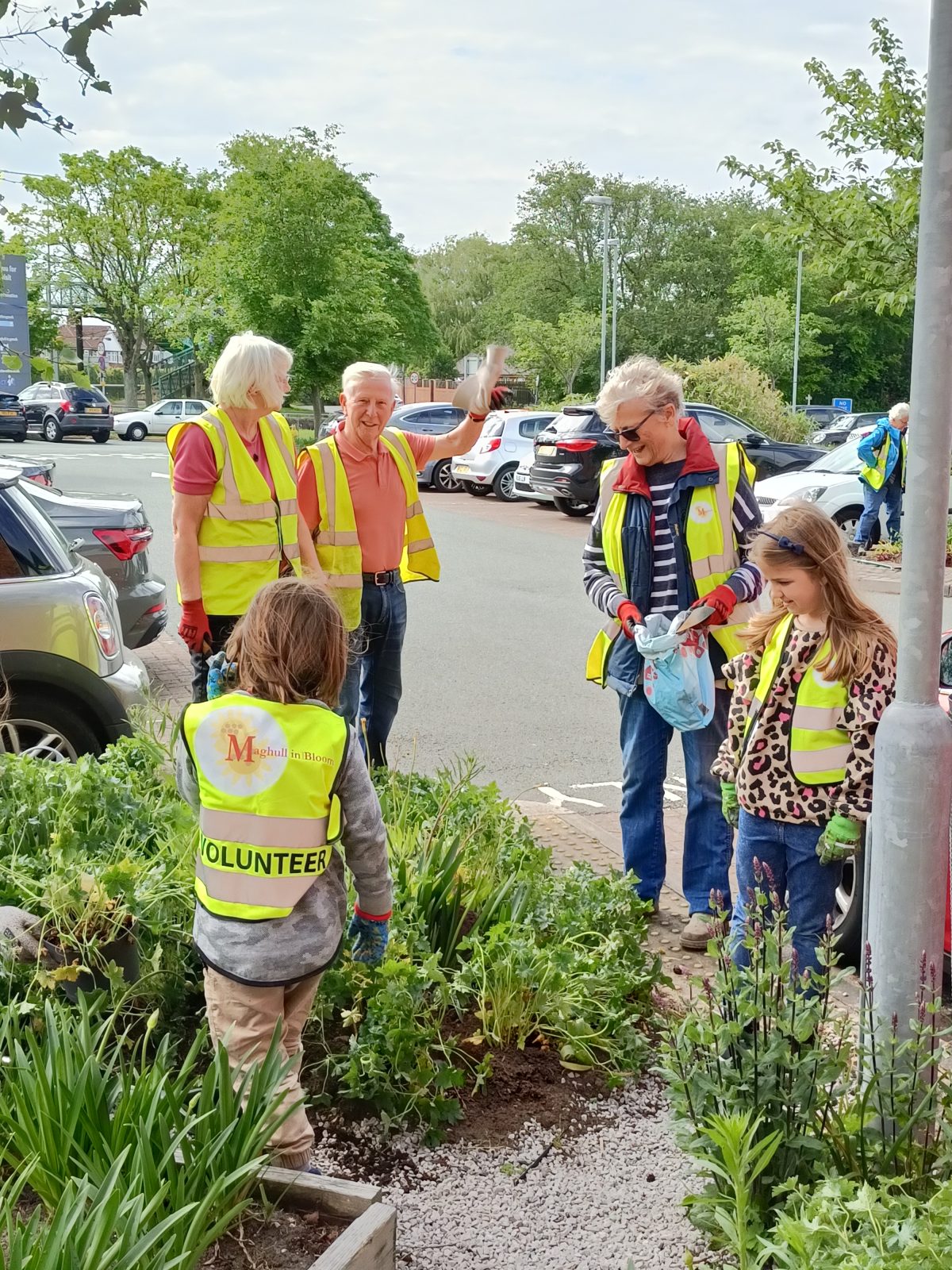 Gallery Meadows - Maghull In Bloom